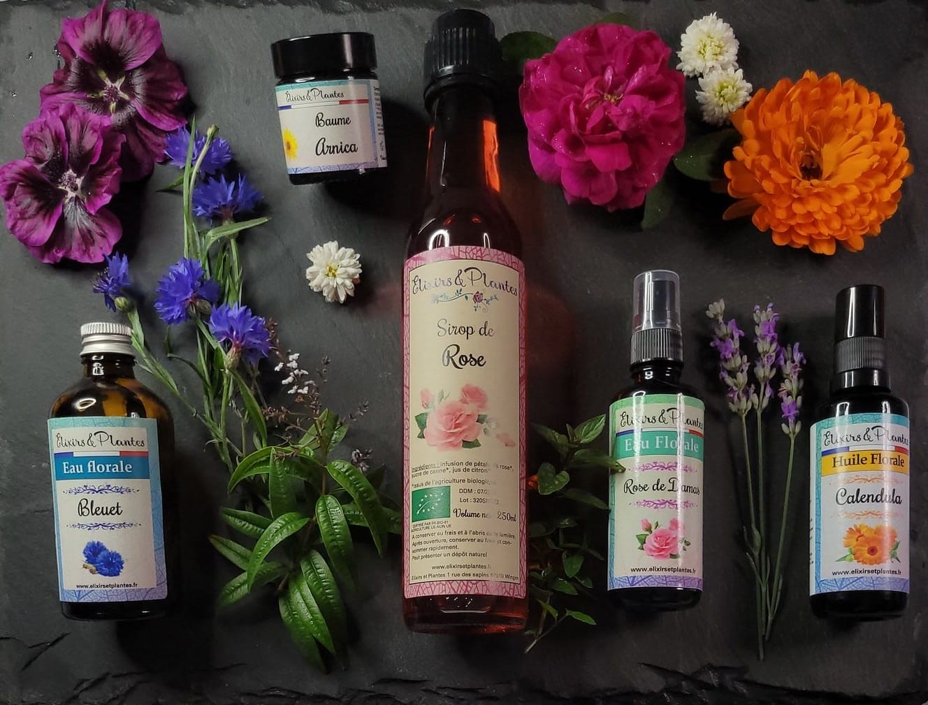 vente Élixirs et plantes - Elixirs et Plantes